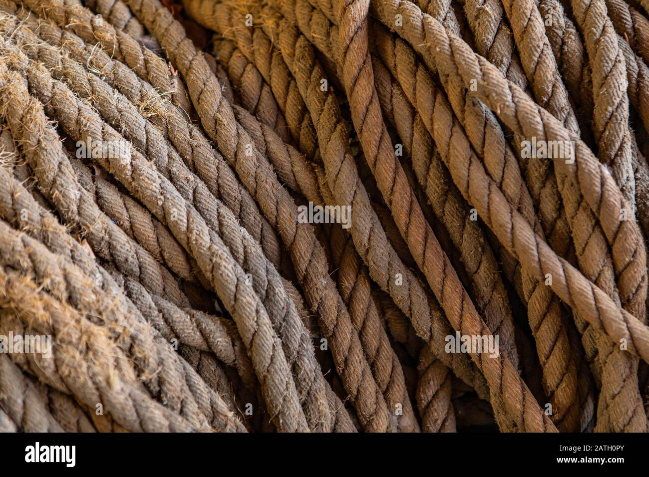 A pile of aged sailing ropes. Close-up view of old knots used in ...
