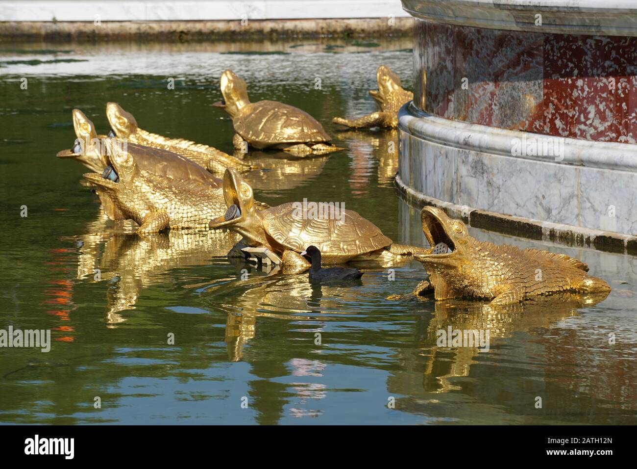 gold turtles water fountain spickets in a pool of the gardens of ...