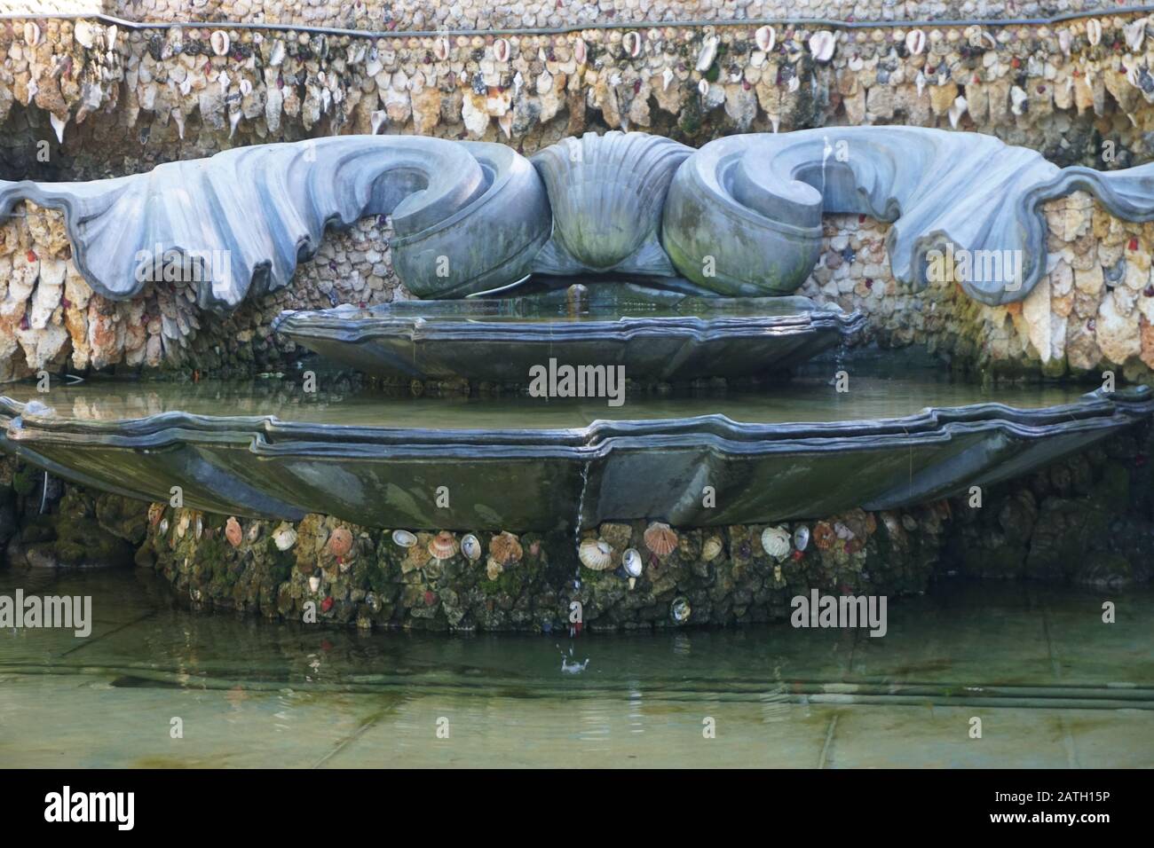 water fountain and pool in the shape of a sea shell with lots of those ...