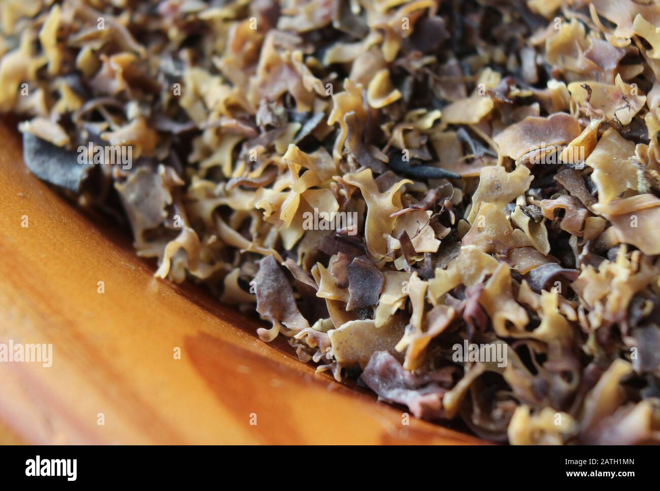 Extreme close up of a wooden bowl full of Irish Moss seaweed (Chondrus ...