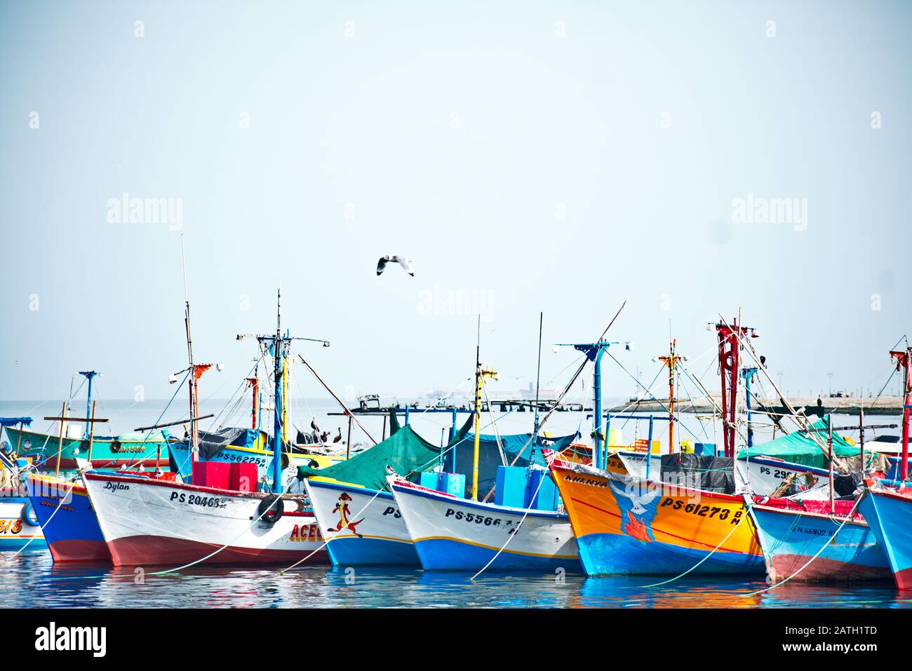 Pastel colorful fishing boats floating and bird in the ocean in Paracas ...