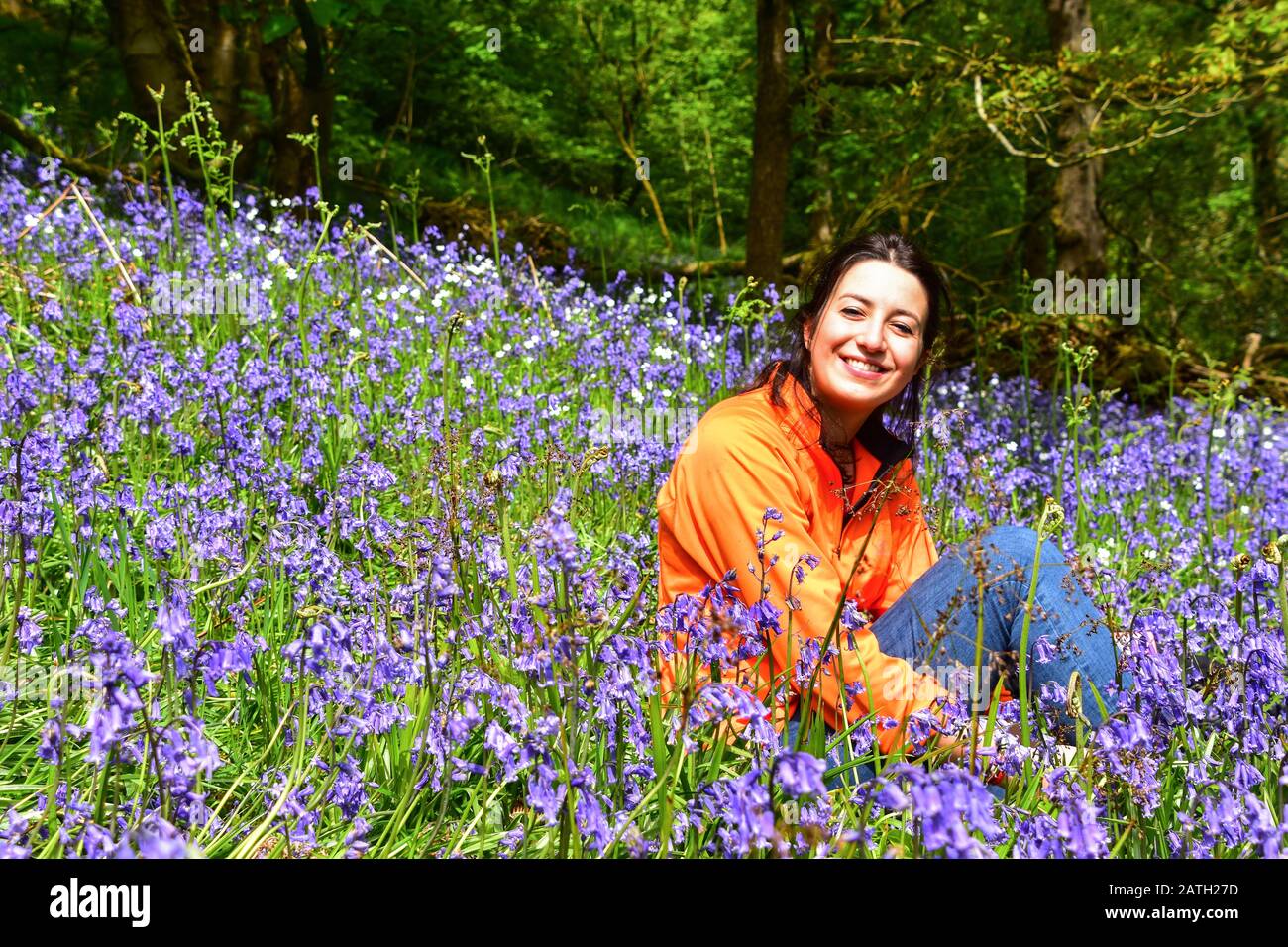 Happy in bluebell wood hi-res stock photography and images - Alamy