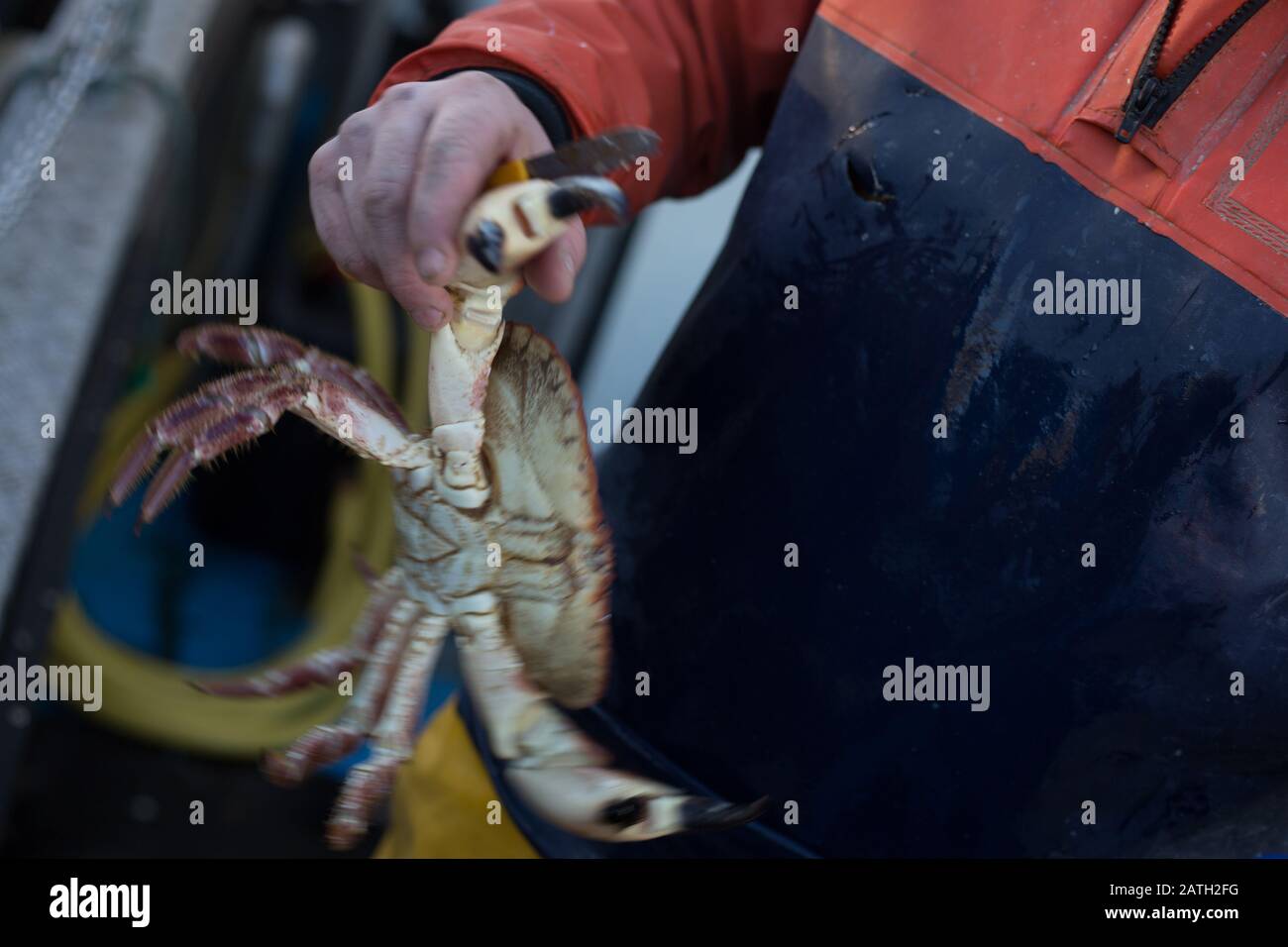Scottish creel boat hi-res stock photography and images - Alamy