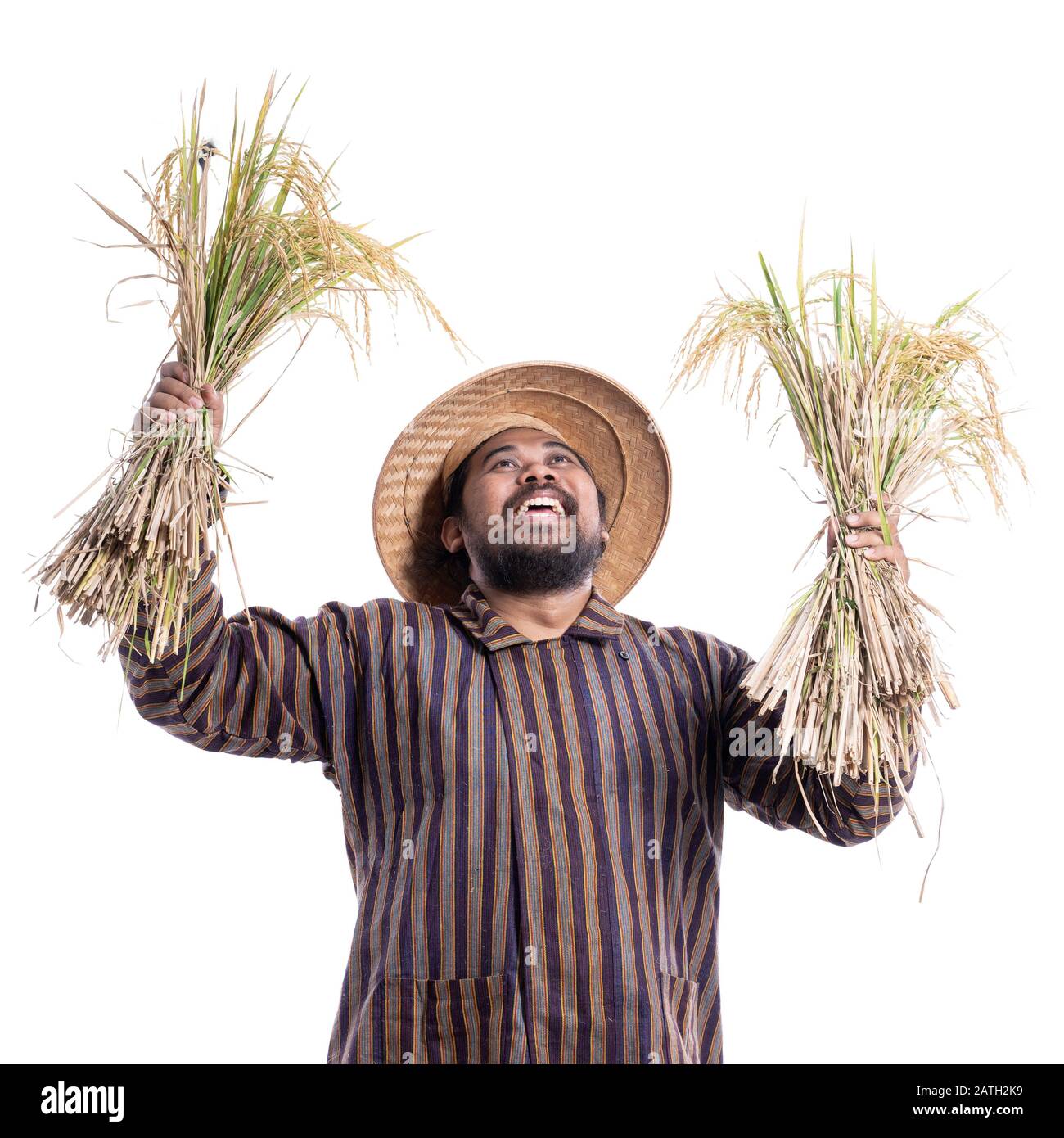 happy excited traditional farmer with hand raised holding rice isolated ...