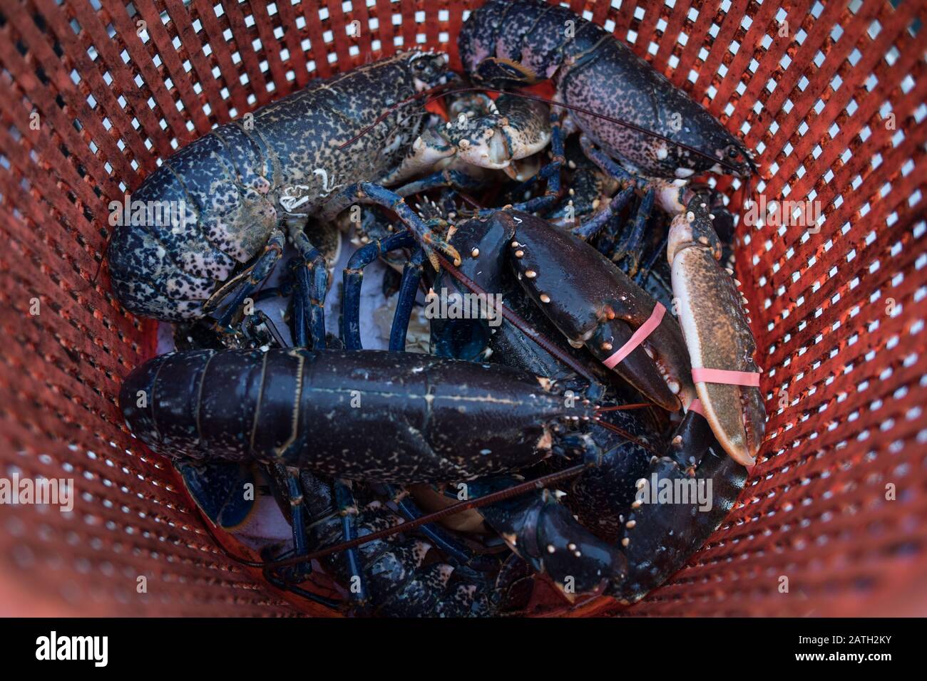 Gary (orange and blue jacket) and his brother Jordan (dark overalls ...