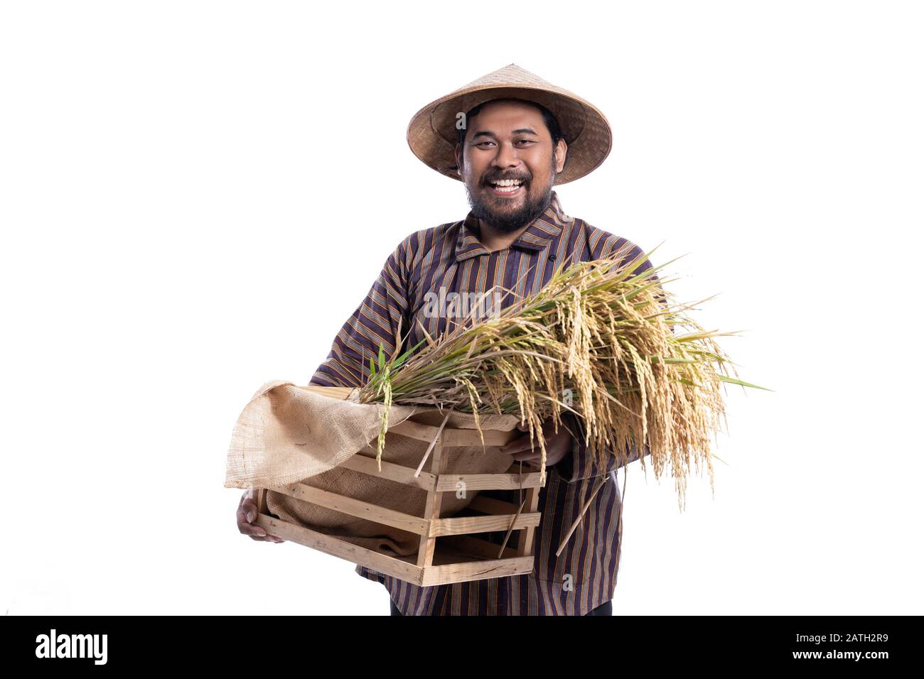 smiling asian farmer with javanese traditional cloth holding rice grain ...