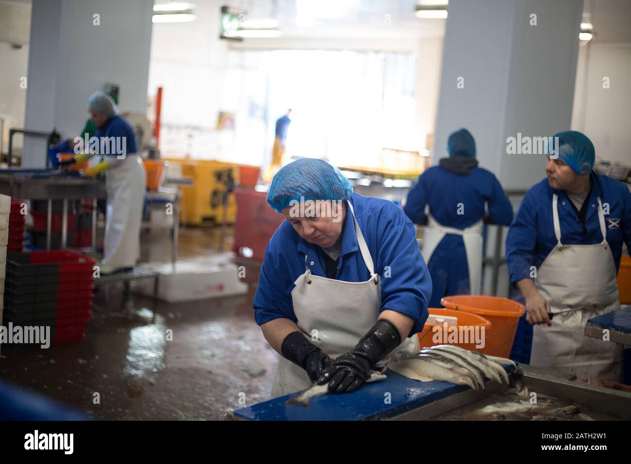 Scottish seafood factory hi-res stock photography and images - Alamy