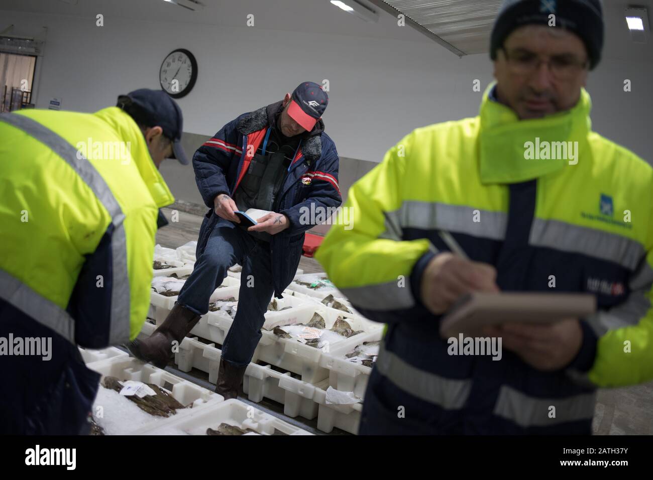 Peterhead fish market hi-res stock photography and images - Alamy