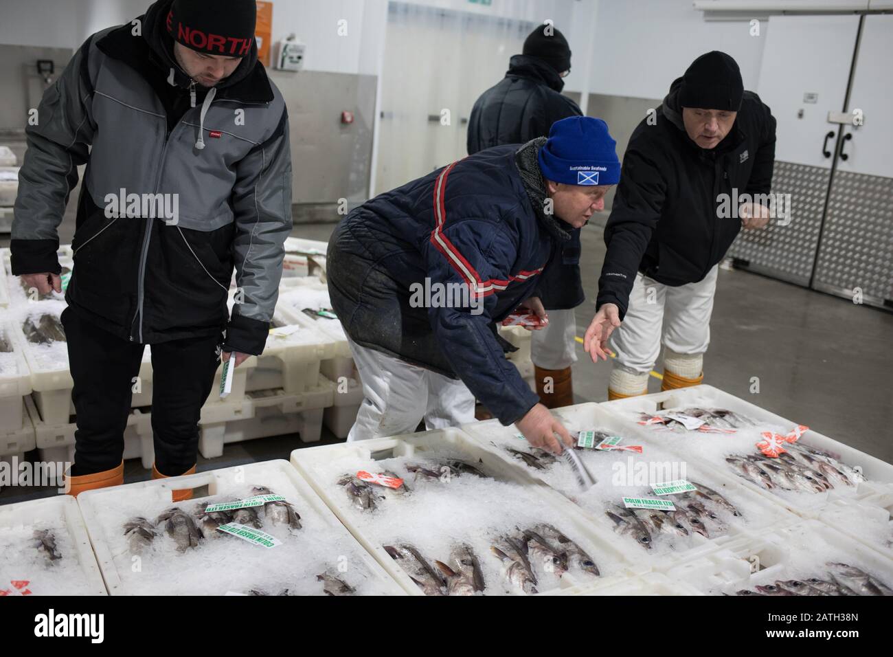 At the early morning auctions at Peterhead fish market, in Peterhead ...