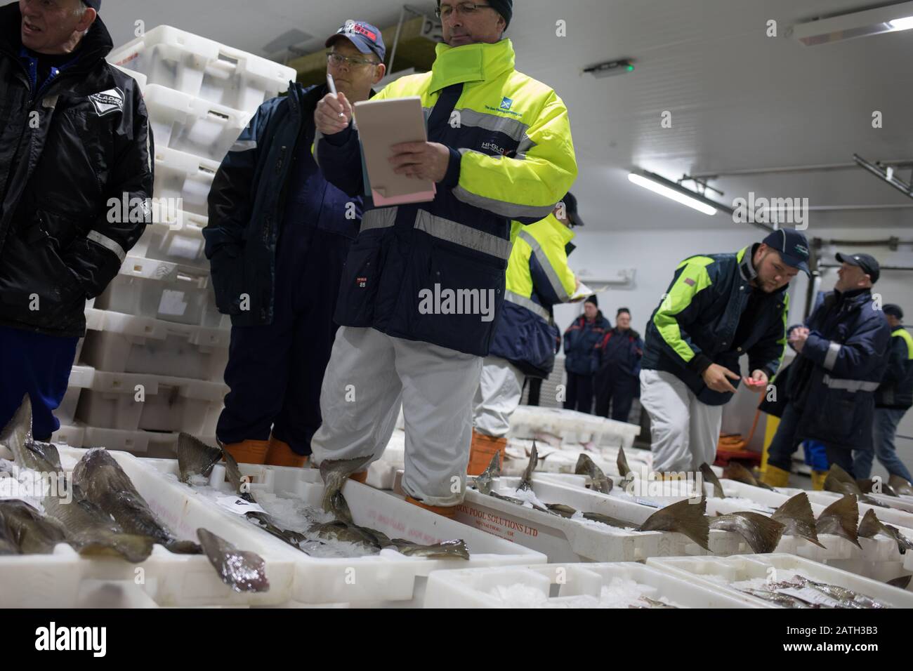 Peterhead fish market hi-res stock photography and images - Alamy