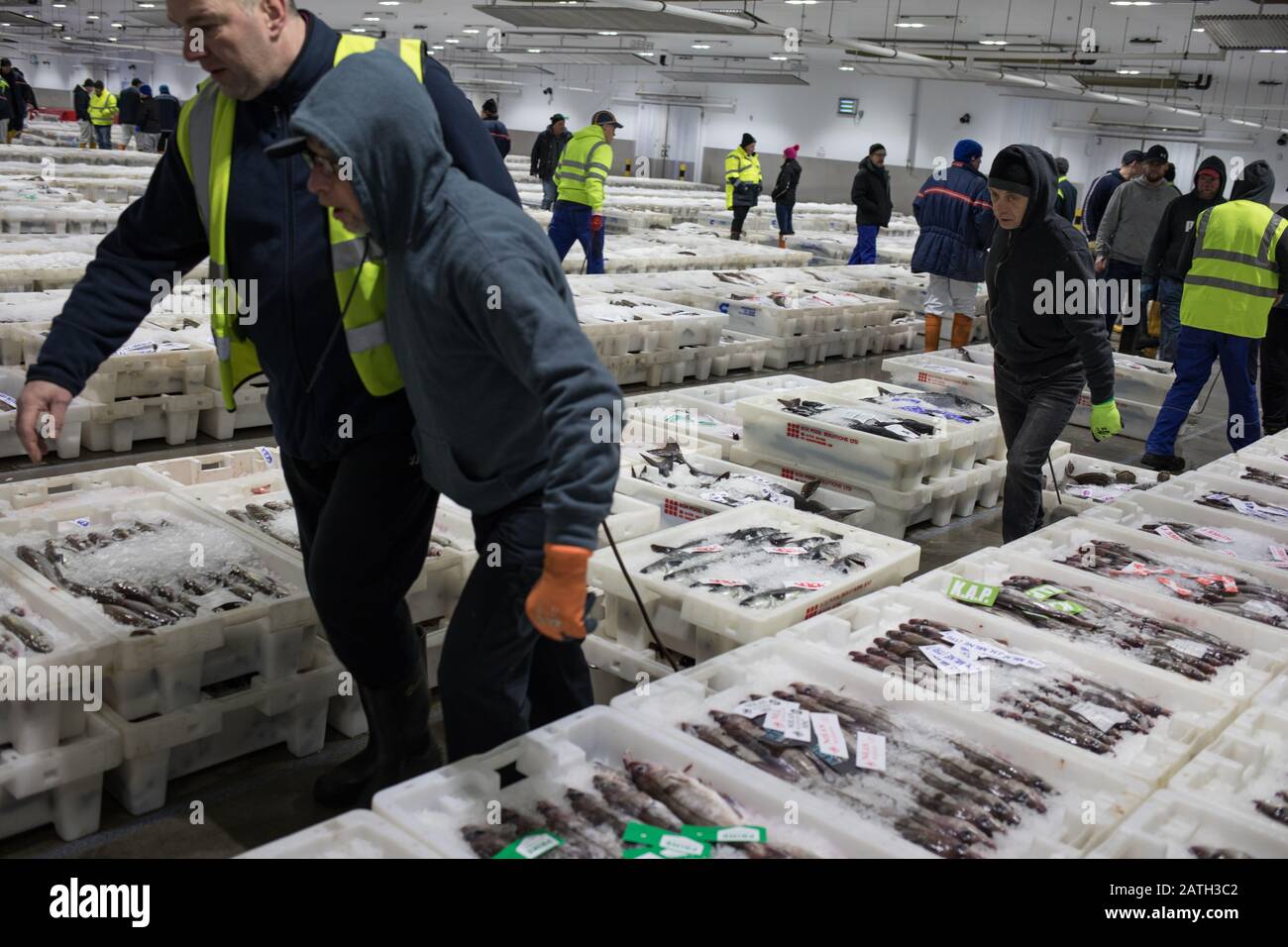 Peterhead Fish Market High Resolution Stock Photography and Images - Alamy