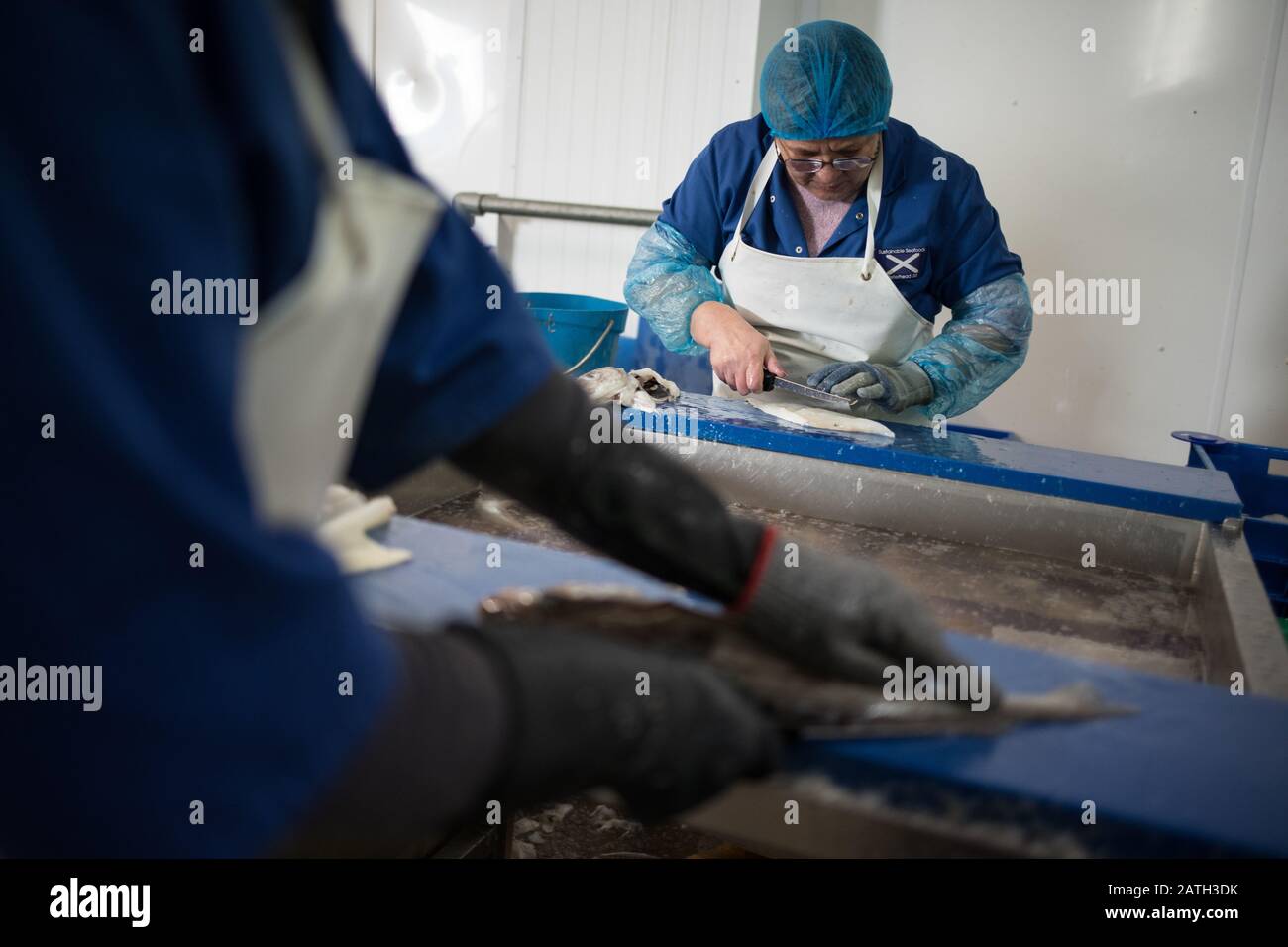 Sustainable fisheries hi-res stock photography and images - Alamy