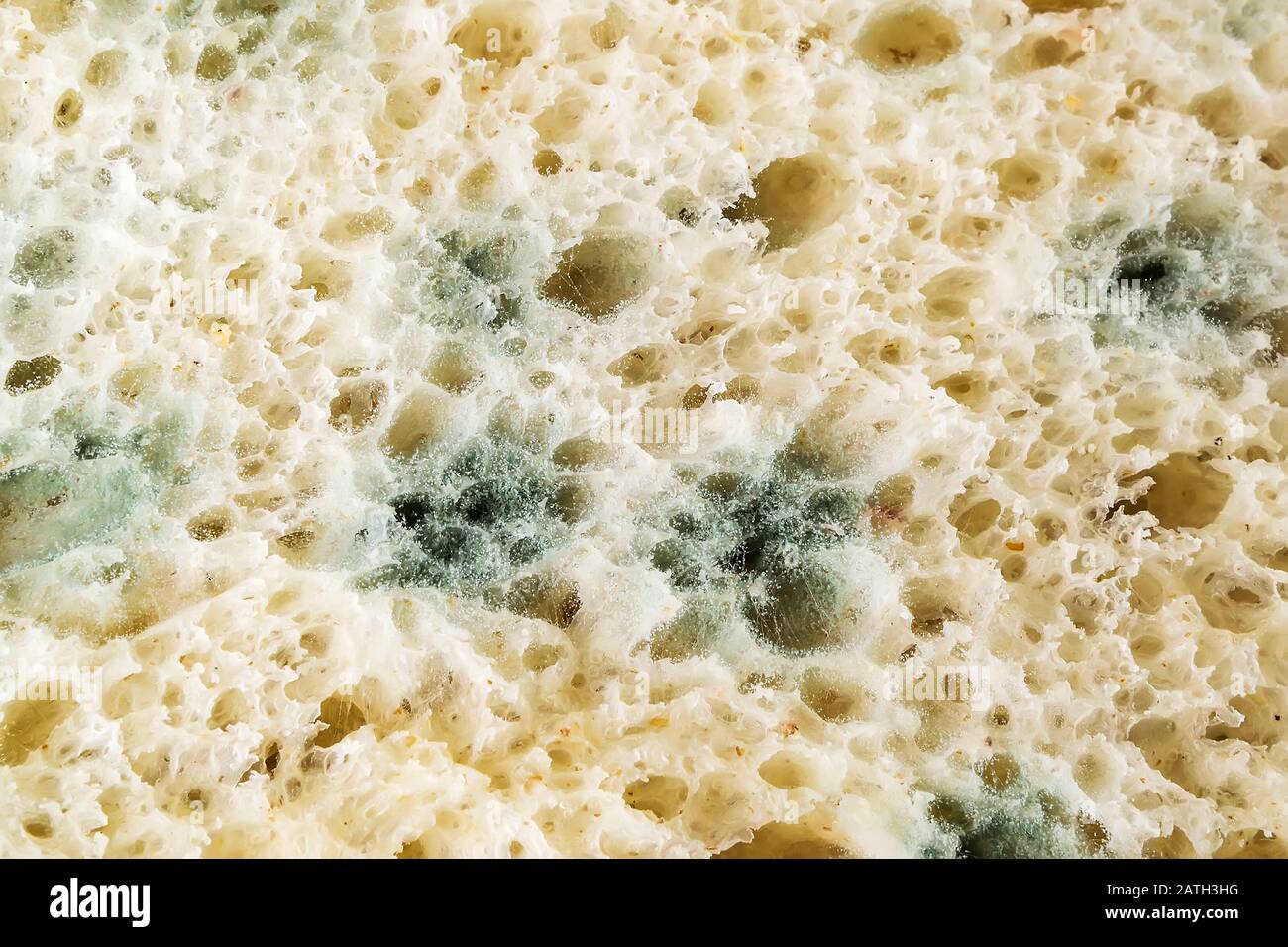 Rotten bread hi-res stock photography and images - Alamy