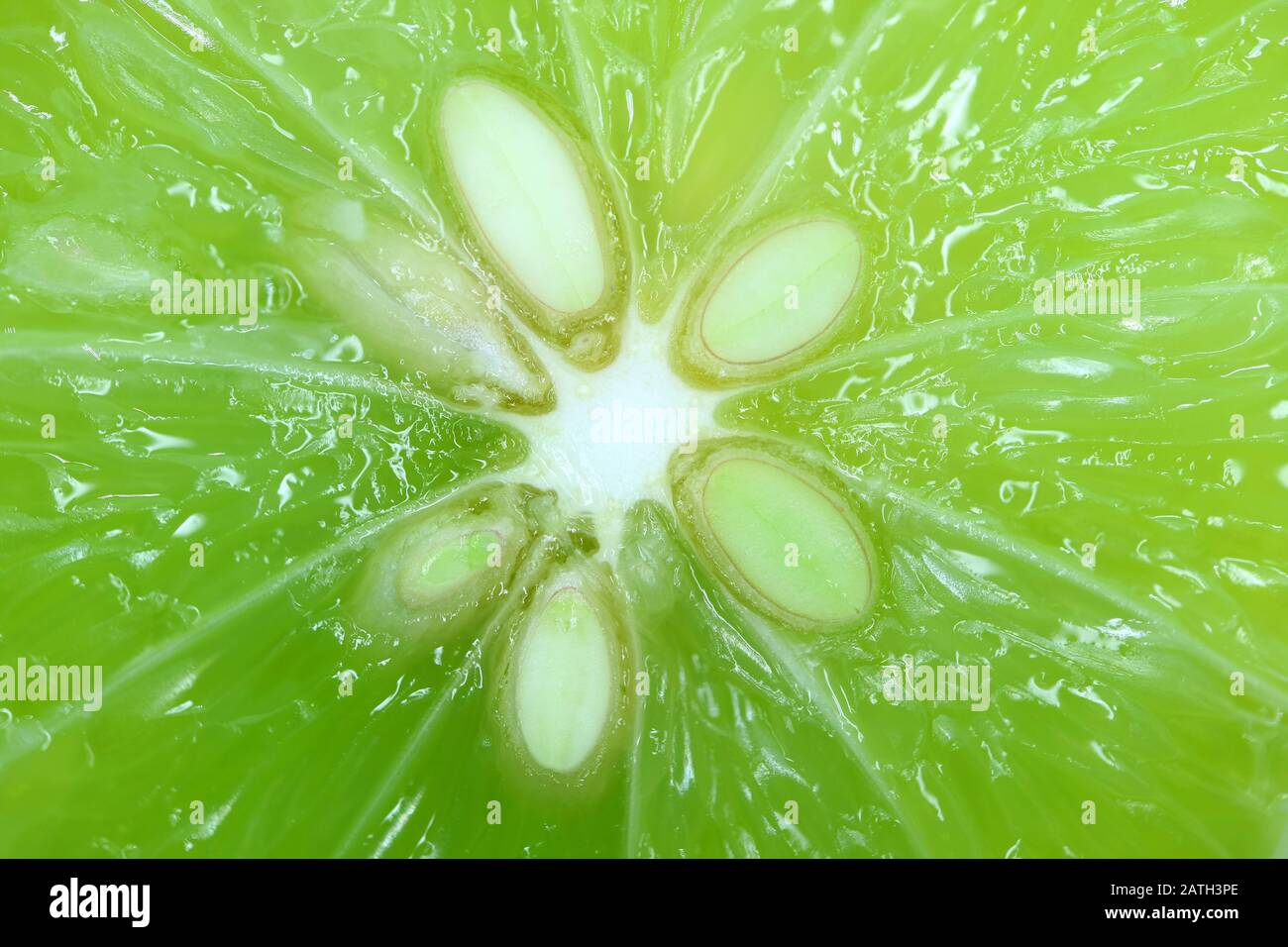 Cross Section of Vibrant Green Lime with Seeds for Background or Banner ...
