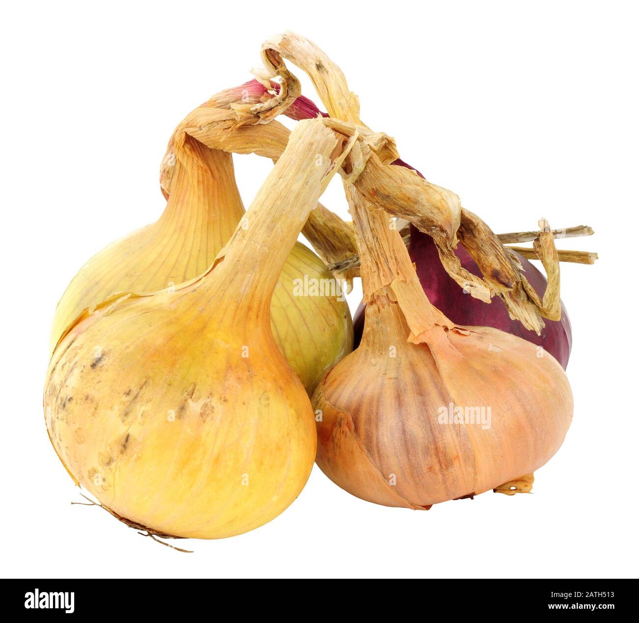 Fresh home grown organic onions isolated on white background Stock ...