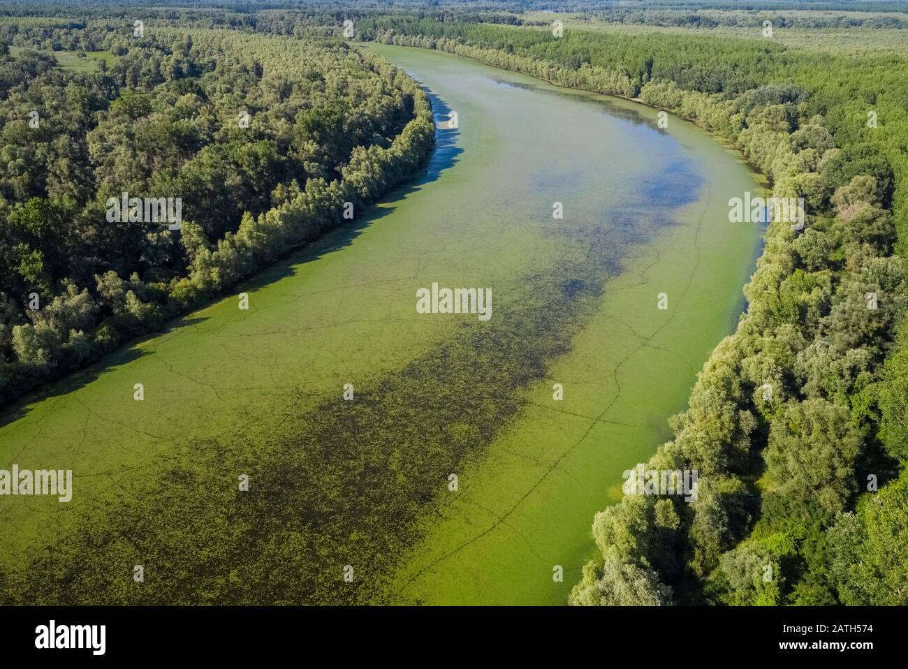 Floodplain river oxbow hi-res stock photography and images - Alamy