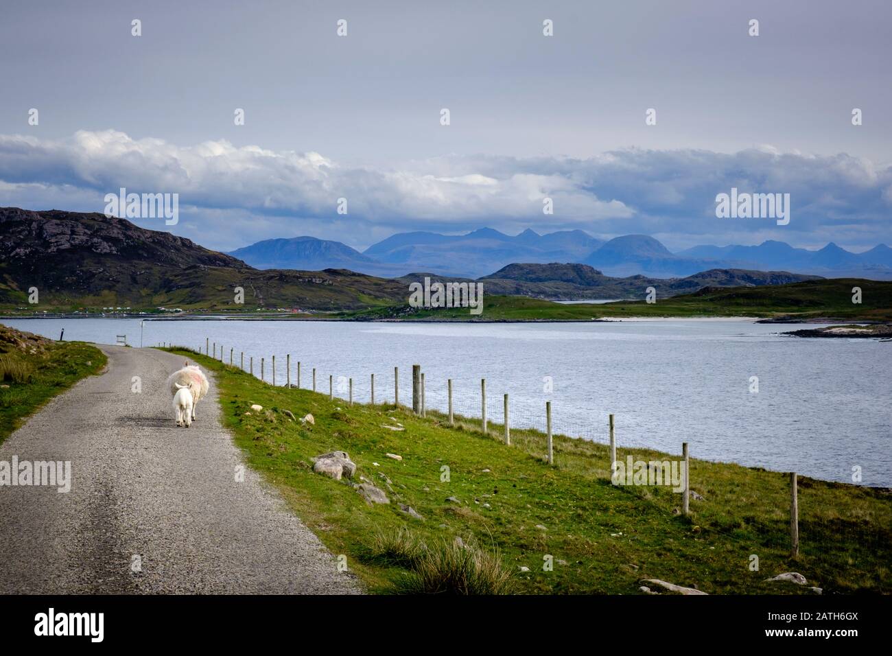 Sheep scotland mountains hi-res stock photography and images - Alamy