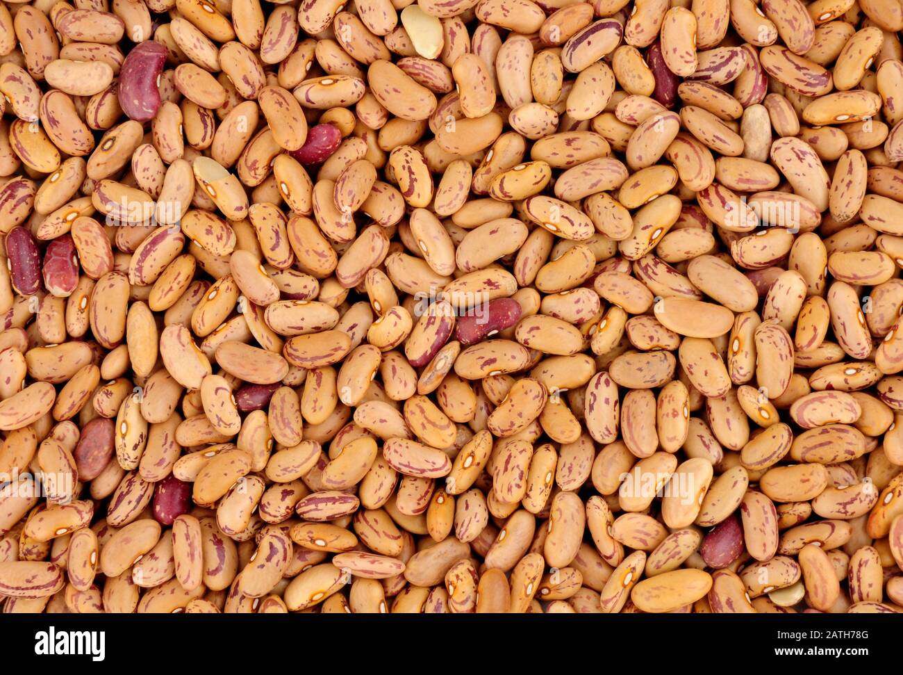 Rosecoco bean background also known as Roman beans Stock Photo - Alamy