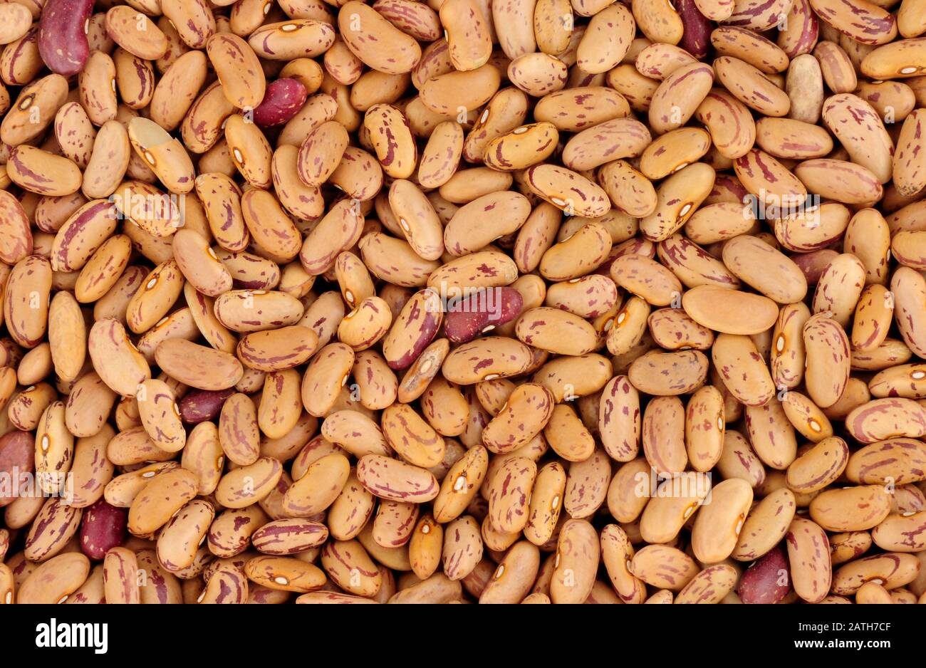 Rosecoco bean background also known as Roman beans Stock Photo - Alamy