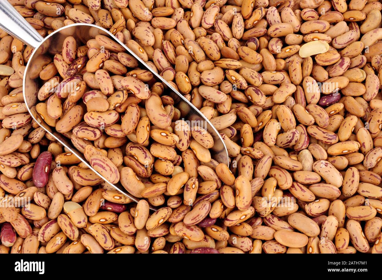 Rosecoco bean background also known as Roman beans Stock Photo - Alamy