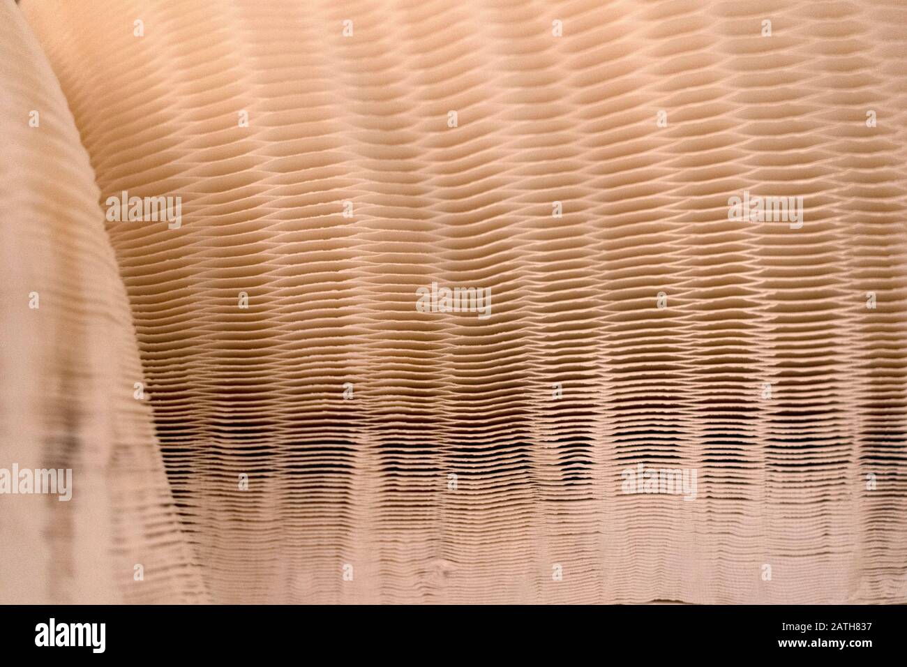 Paper page origami detail close up Stock Photo - Alamy