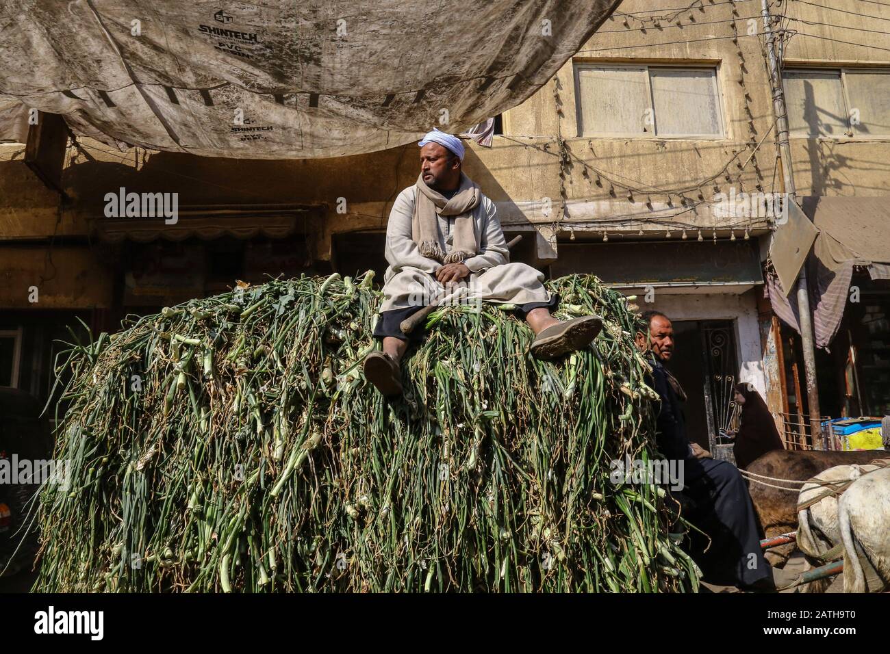 29 January 2020, Egypt, Manfalut: A picture provided on 03 February ...