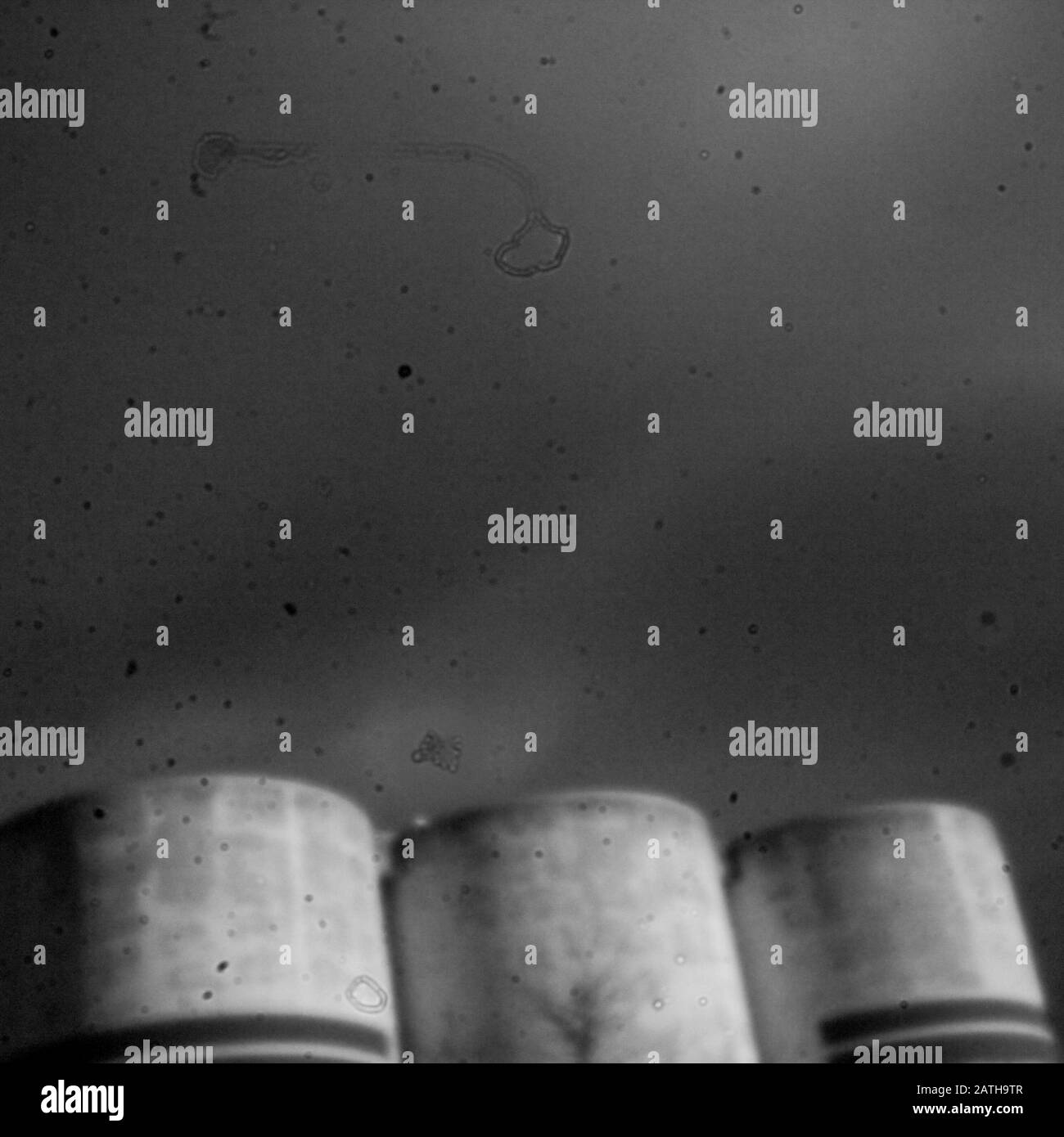 Pinhole image hi-res stock photography and images - Alamy