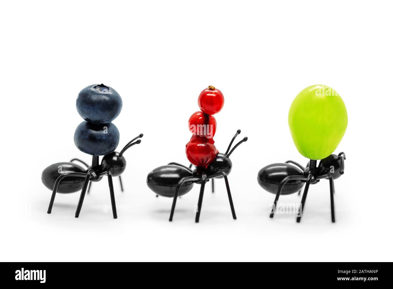 Ant figures transporting fruits, concept global export and logistics ...