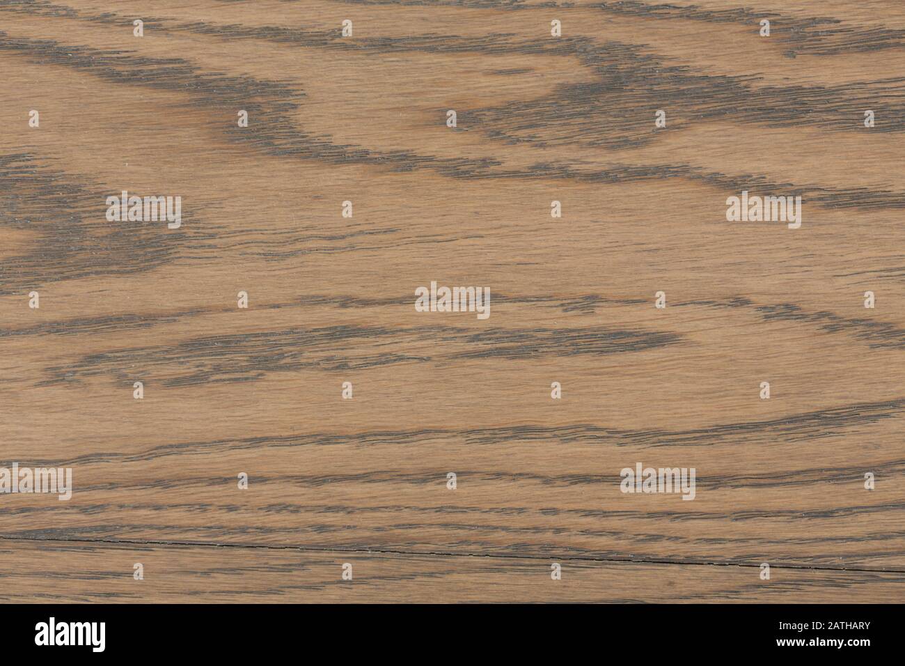 Natural wood texture of cut tree trunk for background Stock Photo - Alamy