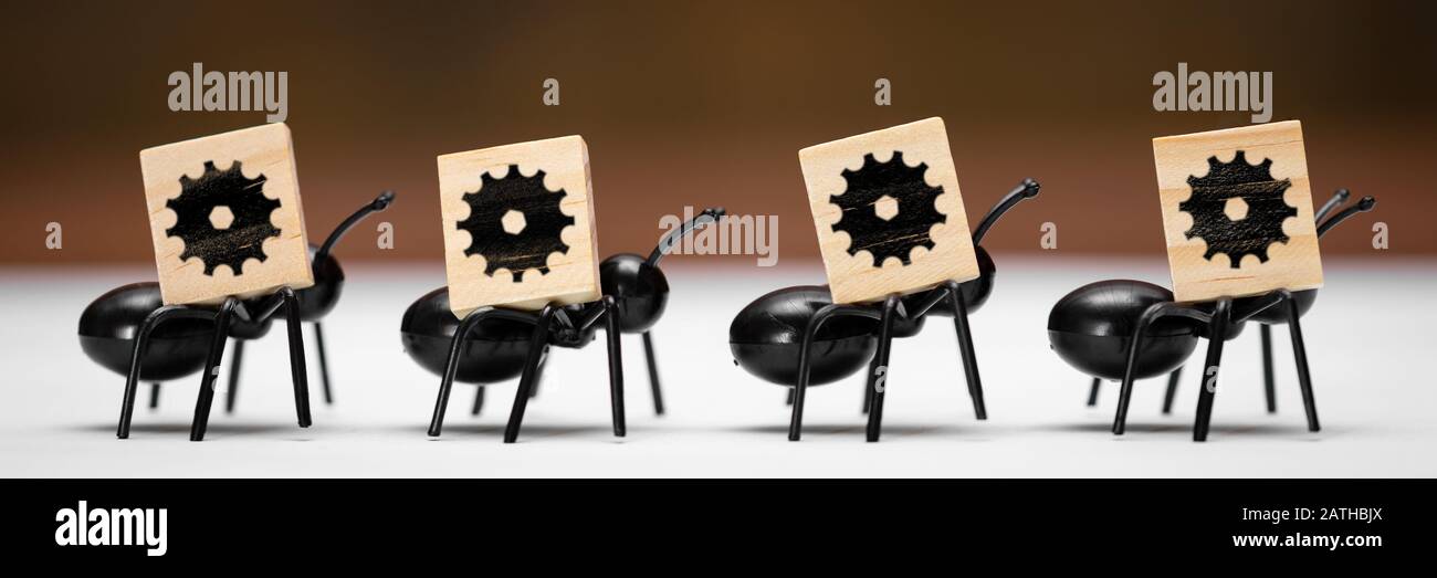 Four ants carry wooden blocks with the symbol of a cogwheel Stock Photo ...