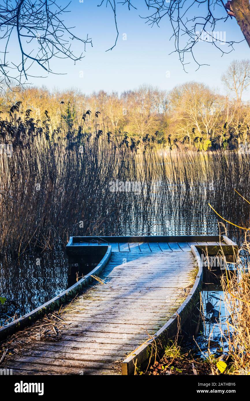 Coate water park swindon landscape hi-res stock photography and images ...