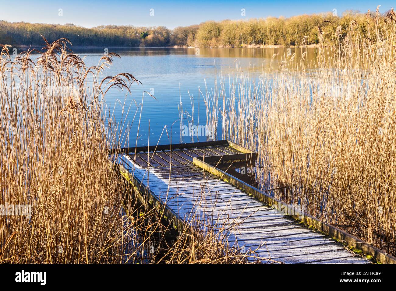 Sunshine on a winters day hi-res stock photography and images - Alamy