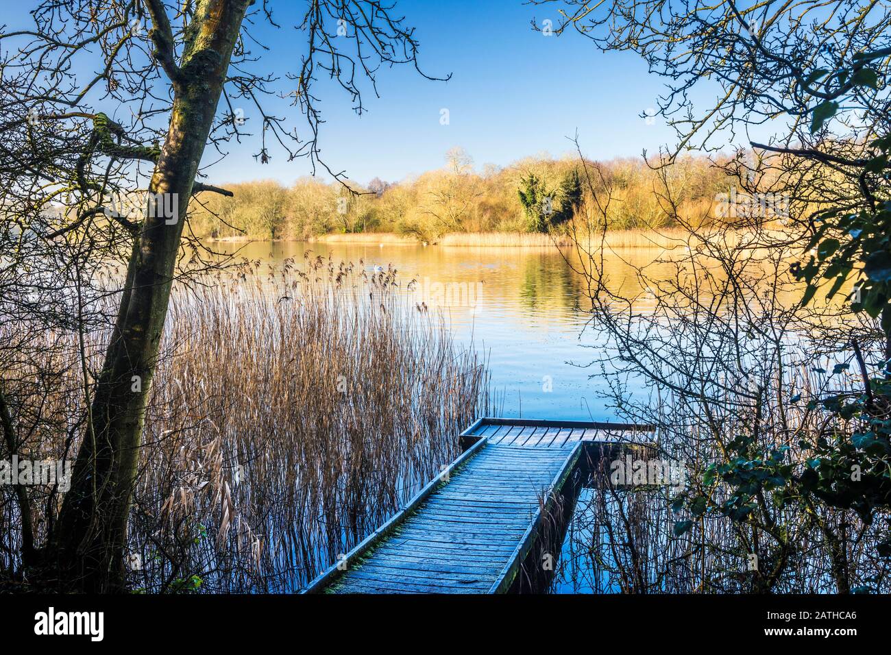 Cold water fishing hi-res stock photography and images - Alamy