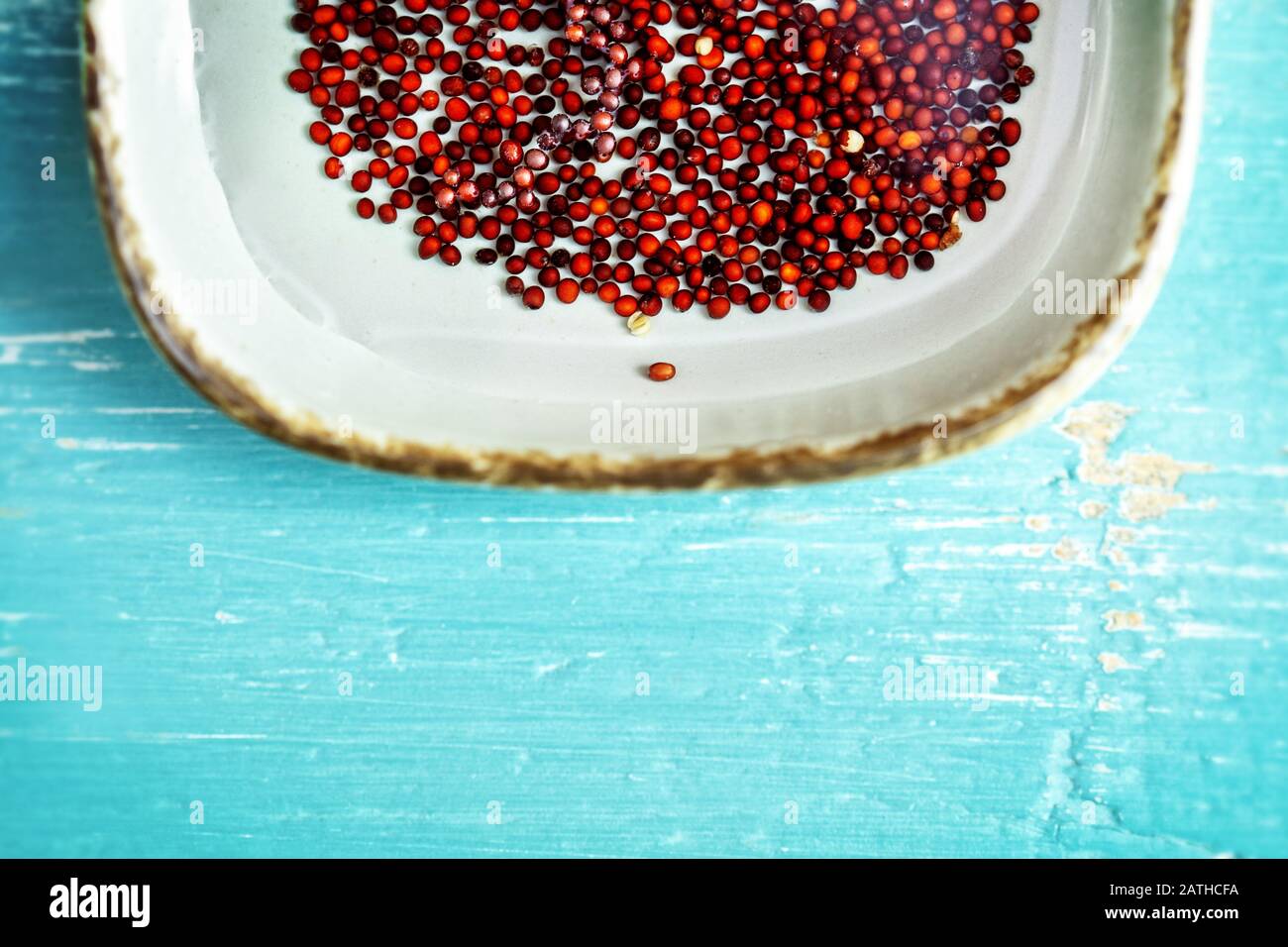 closeup of chicory seed, steeping in some water, concept microgreens ...