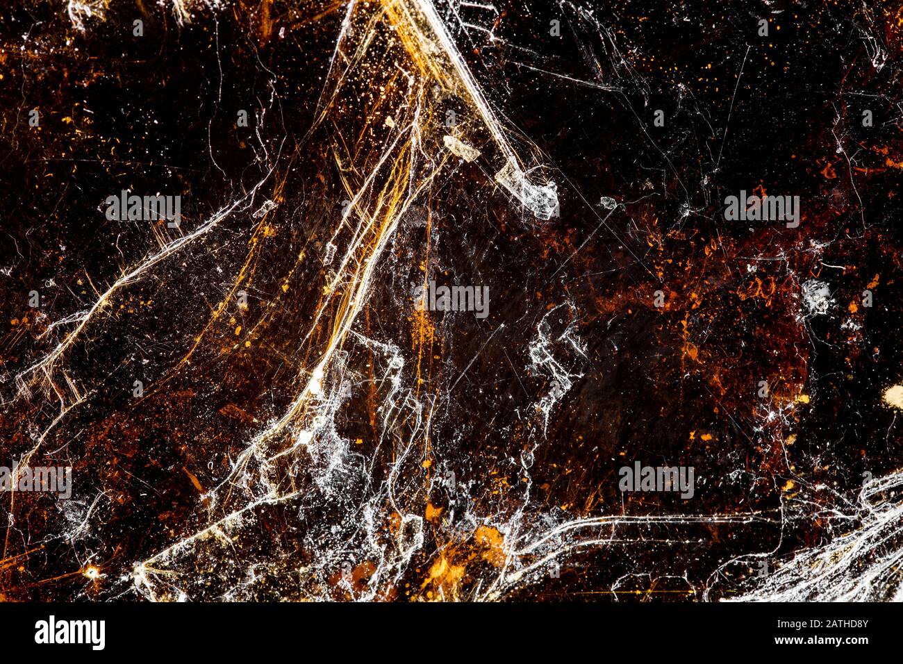 Muscovy glass hi-res stock photography and images - Alamy