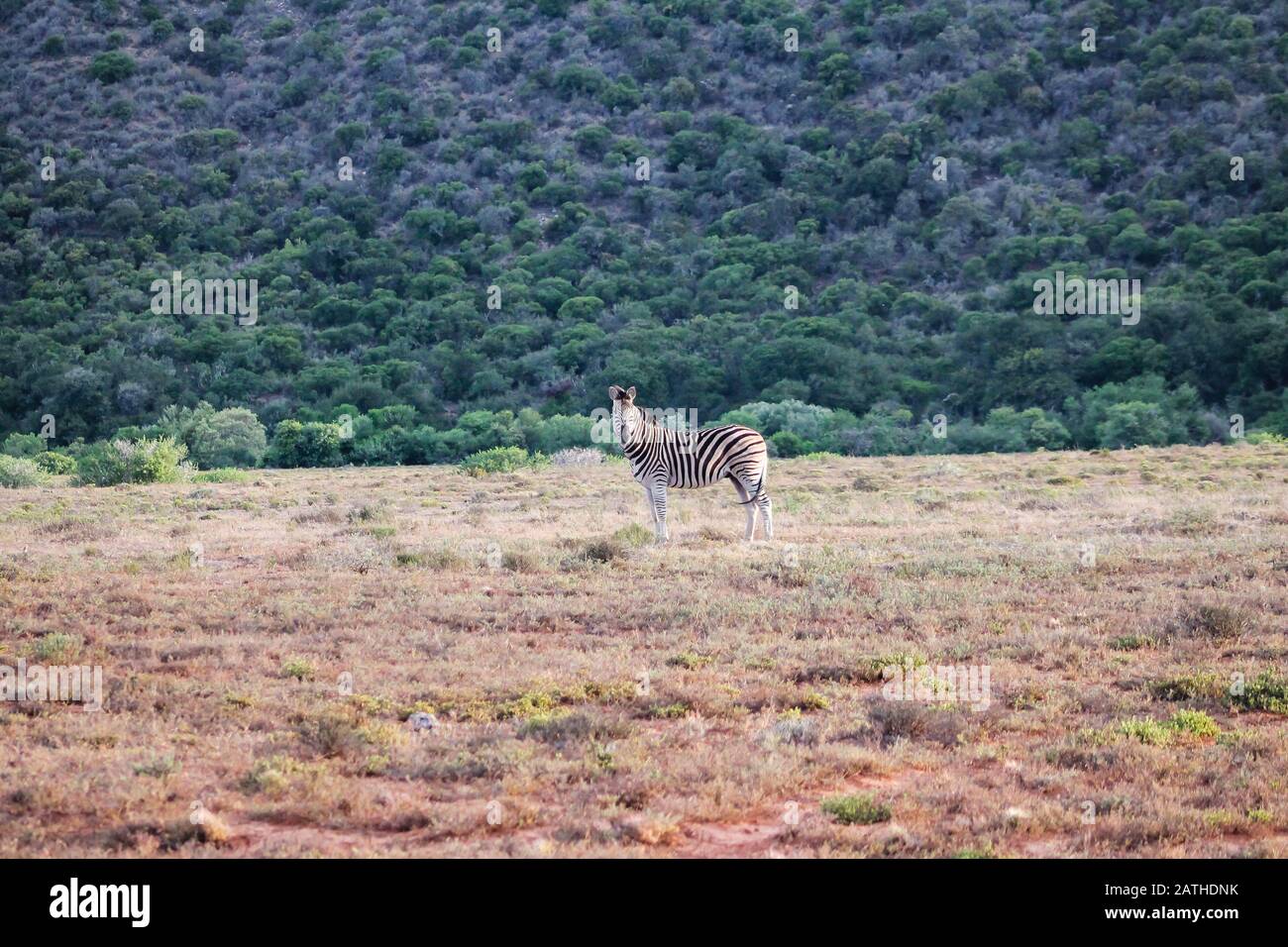 Hill backdrop hi-res stock photography and images - Alamy