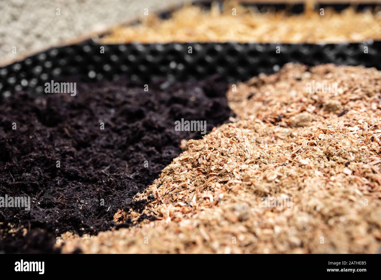 Substrate ground for outdoor fungiculture, workspace into a mushroom ...