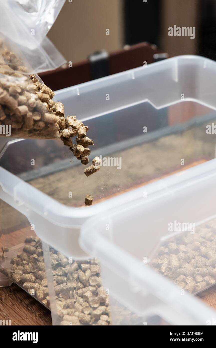 Substrate preparation and work stages in a mushroom farm or home ...