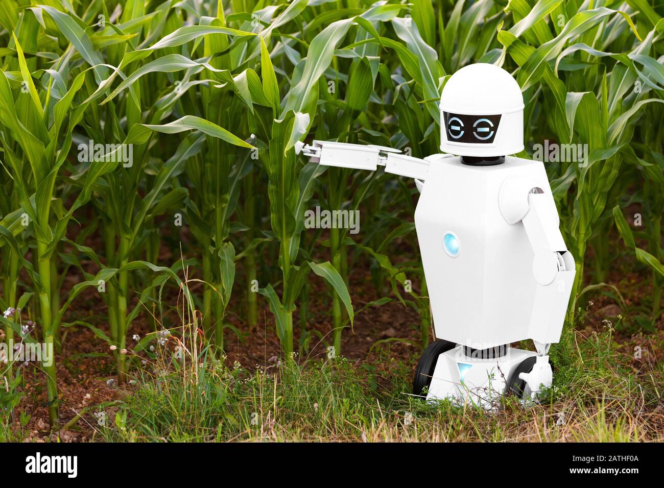 robotic farmer is standing in front of a cornfield, concepts like ...