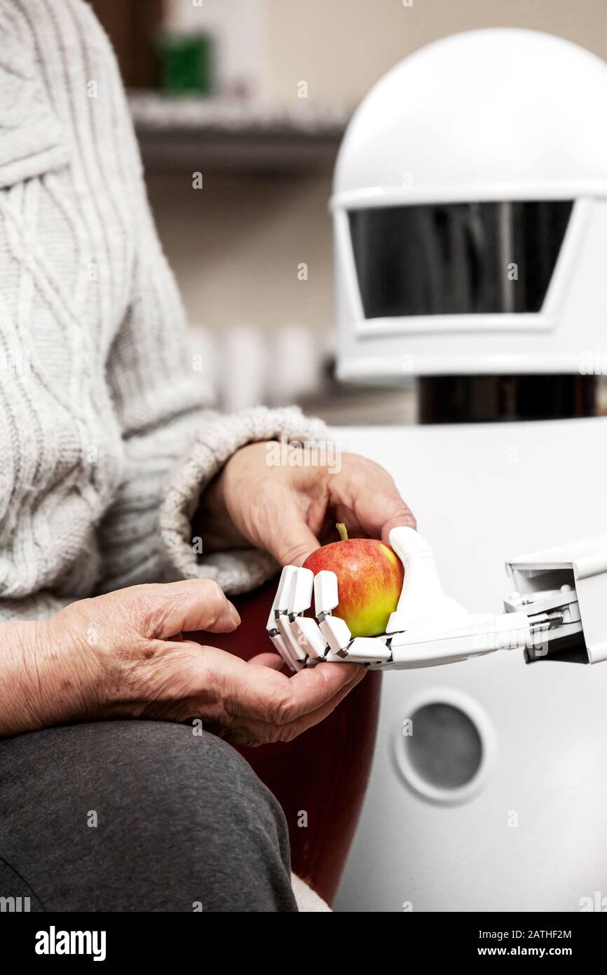 autonomous caregiver robot is holding a fresh apple, giving it to an ...
