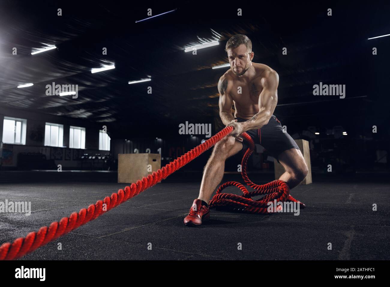 Young healthy man, athlete doing exercise with the ropes in gym. Single ...
