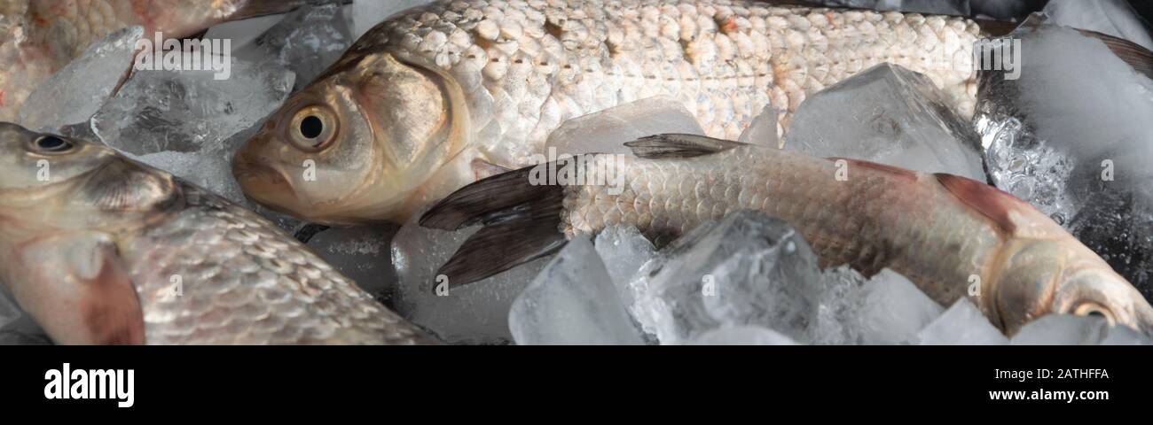 Close up view of raw fishes in ice. Fish market. Healthy eating ...