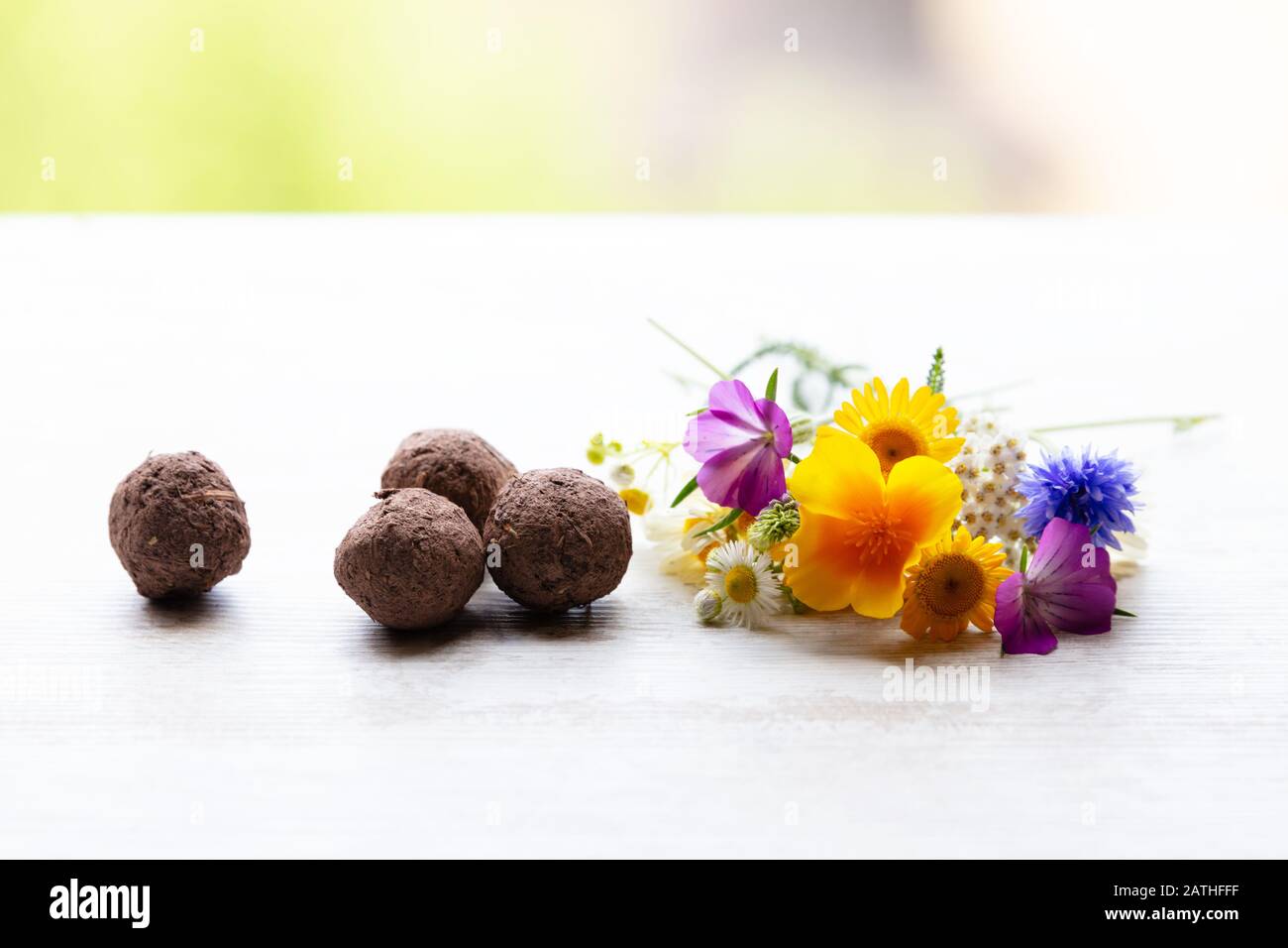 Planting seed balls hi-res stock photography and images - Alamy