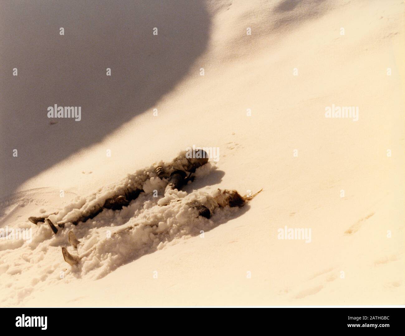 Starcrash Year : 1978 USA Director : Luigi Cozzi (Lewis Coates ...