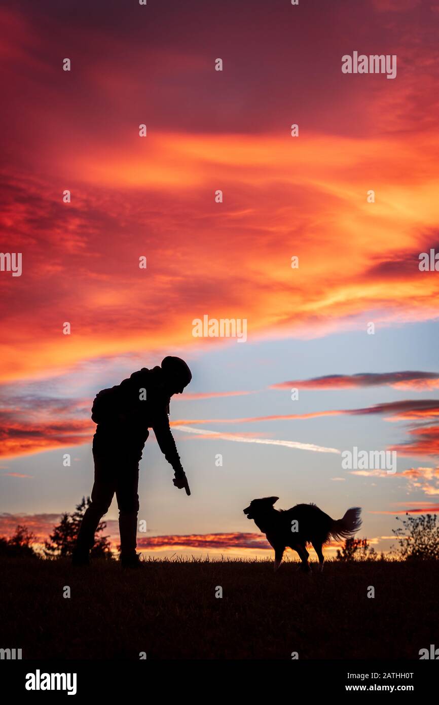 Silhouettes of a man and his dog in front of a sunset or sunrise ...