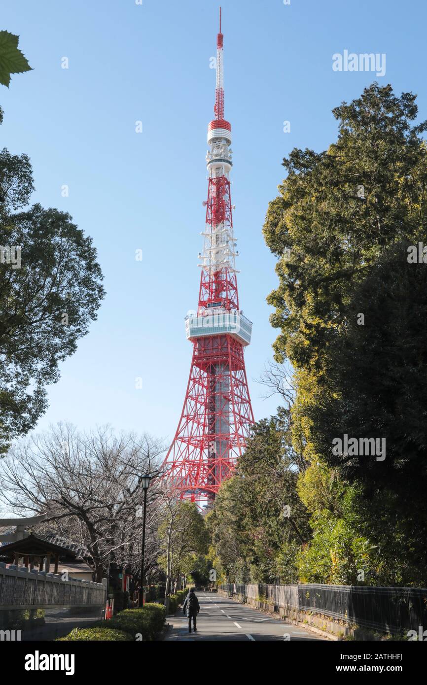 Iconic tree japan hi-res stock photography and images - Alamy