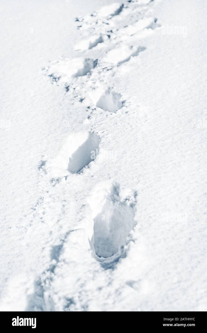 Footprints in the deep white snow, traces and tracks of human steps ...