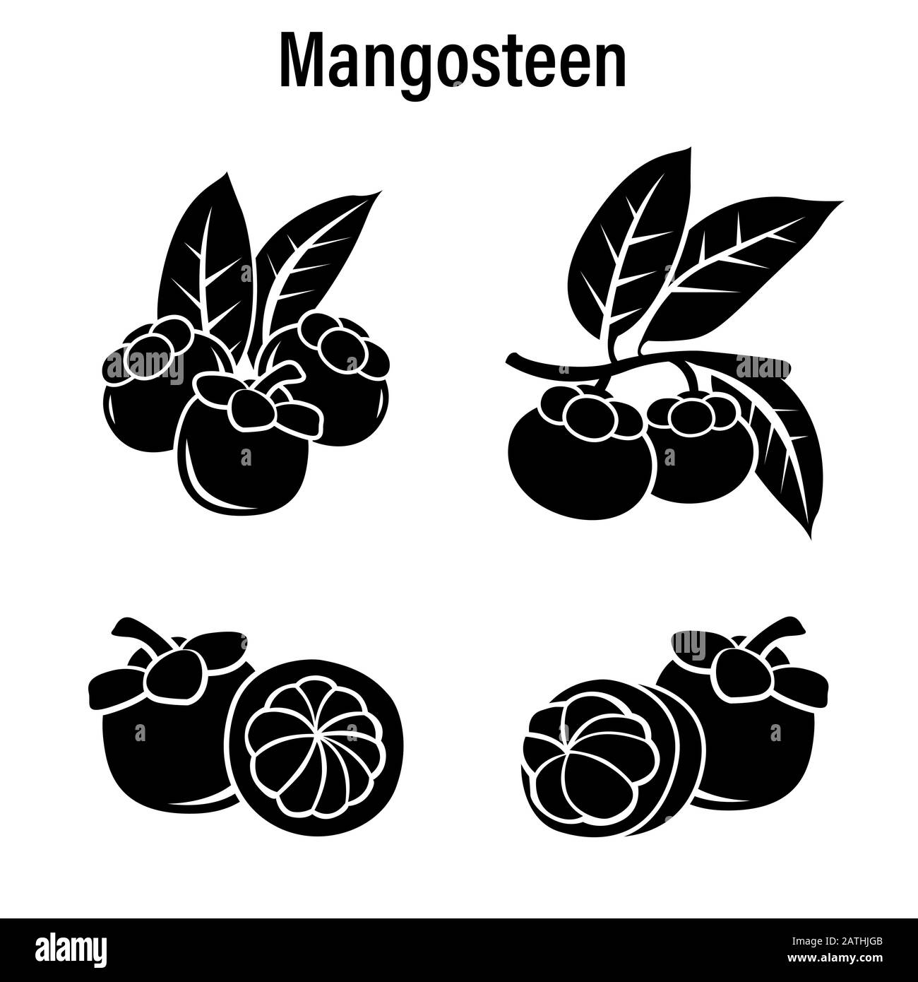 Mangosteen tropical fruit Stock Vector Images - Alamy