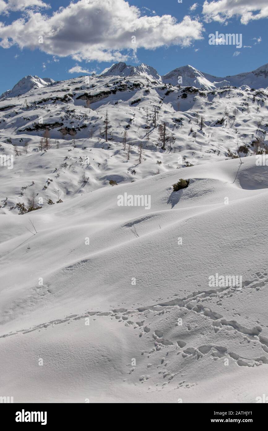 Komna plateau hi-res stock photography and images - Alamy
