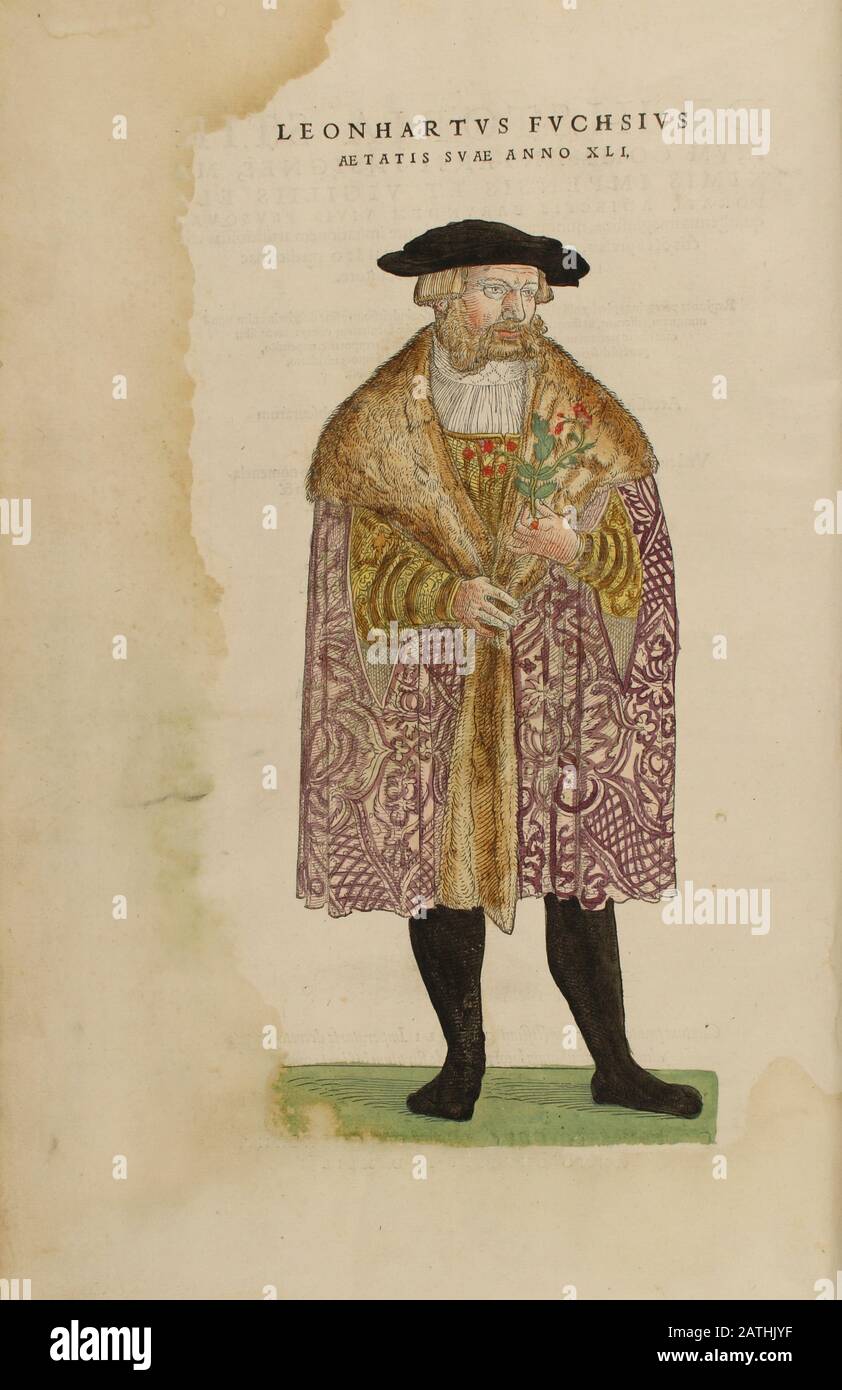 16th century, watercolor, hand painted woodcutting print of Leonhart ...